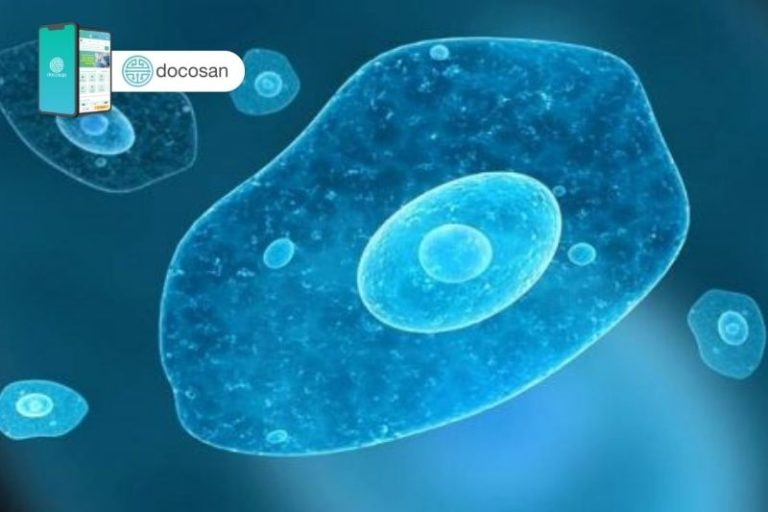 Bệnh lỵ amip: Triệu chứng, chẩn đoán và điều trị - Docosan
